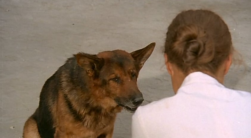 RAREFILMSANDMORE.COM. LA CALIFFA (Lady Caliph) (1970) * with switchable ...