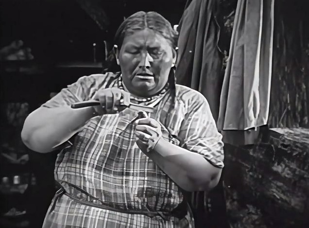 RAREFILMSANDMORE.COM. TWO FILM DVD: MICKEY (1918) + HIGH AND DIZZY (1920)